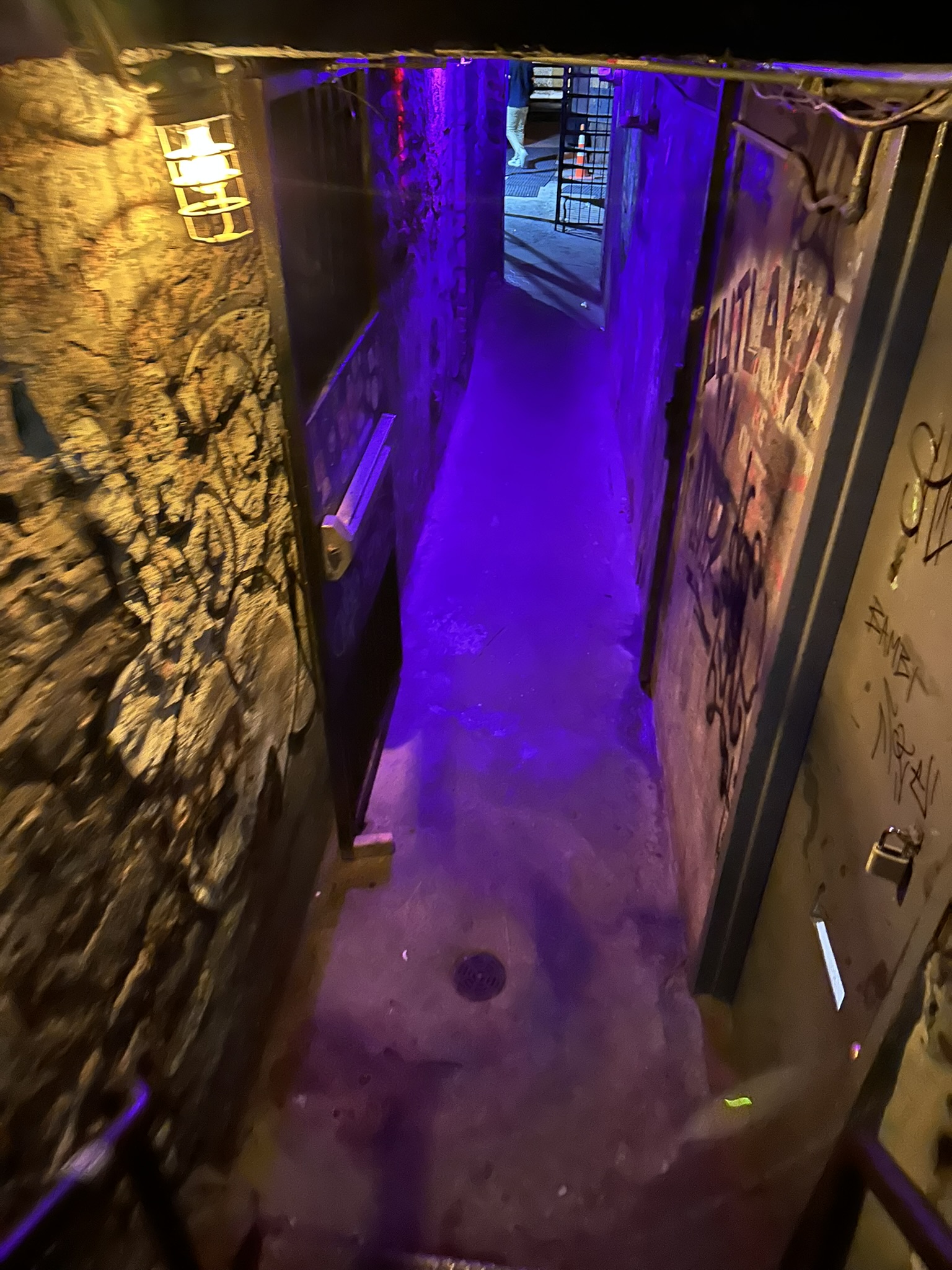 The Back Room, NYC - Undercover Bars